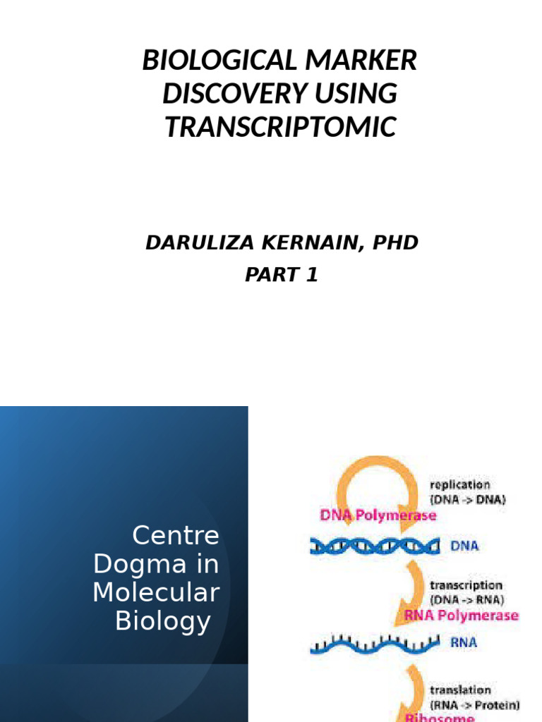 1st Lecture Biological Marker Discovery Using Transcriptomic Part 1 | PDF