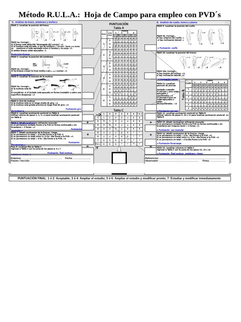 RULA PVD Hoja de Campo | PDF