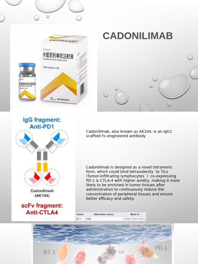 Cadonilimab | PDF