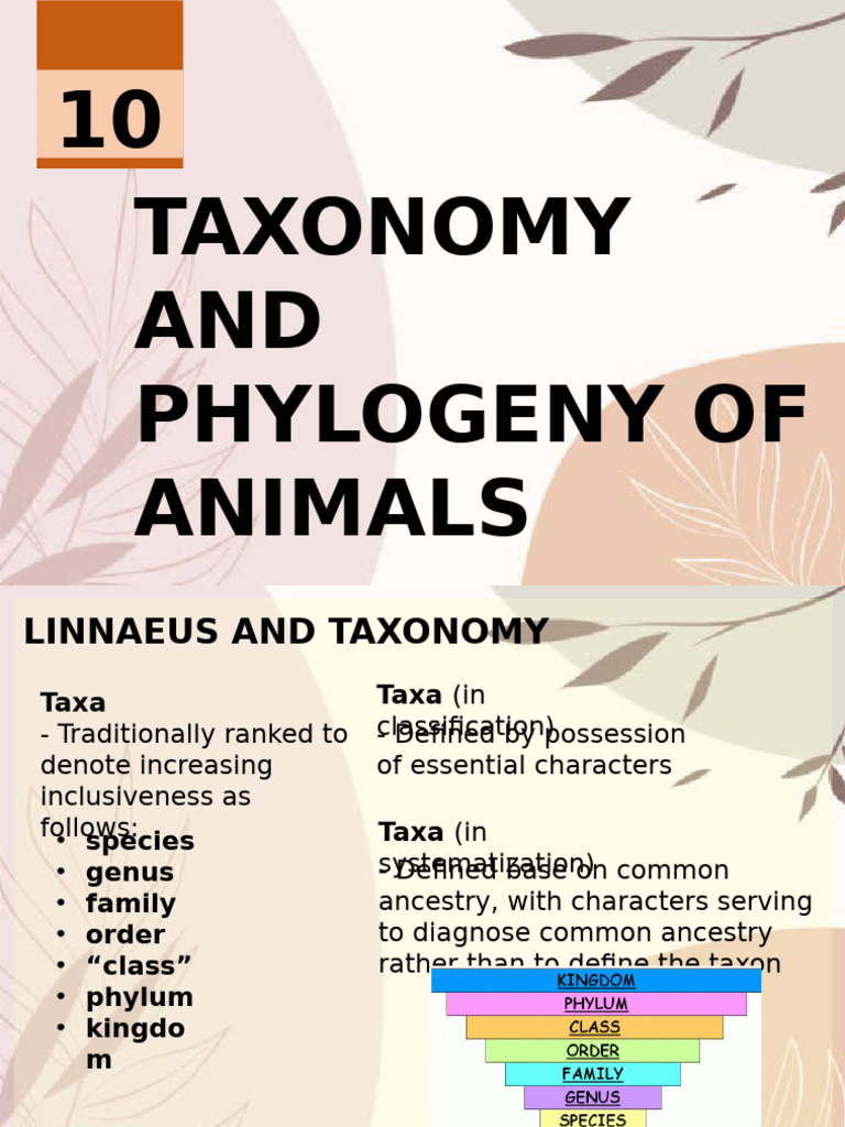 Chapter 10 - Taxonomy and Phylogeny of Animals | PDF