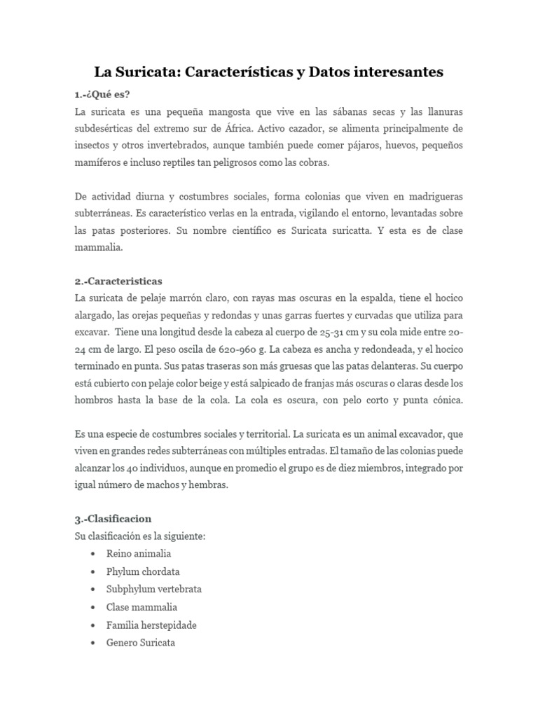 La Suricata (Actualizada) Final | PDF