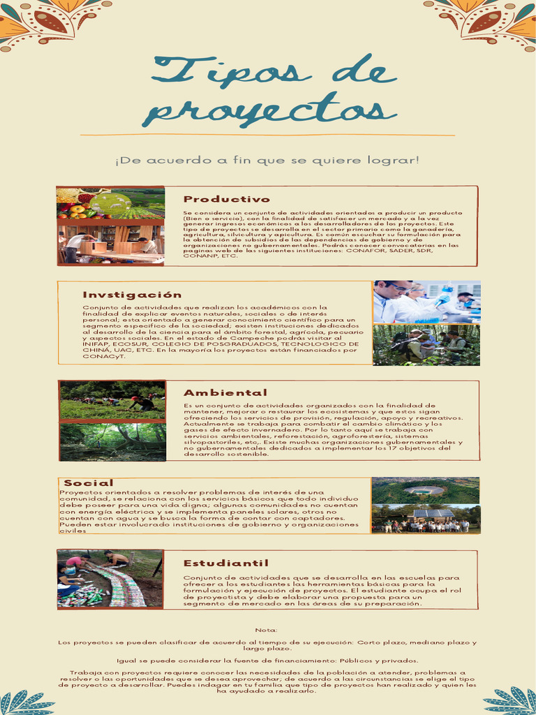 Infografia_tipos de Proyectos | PDF