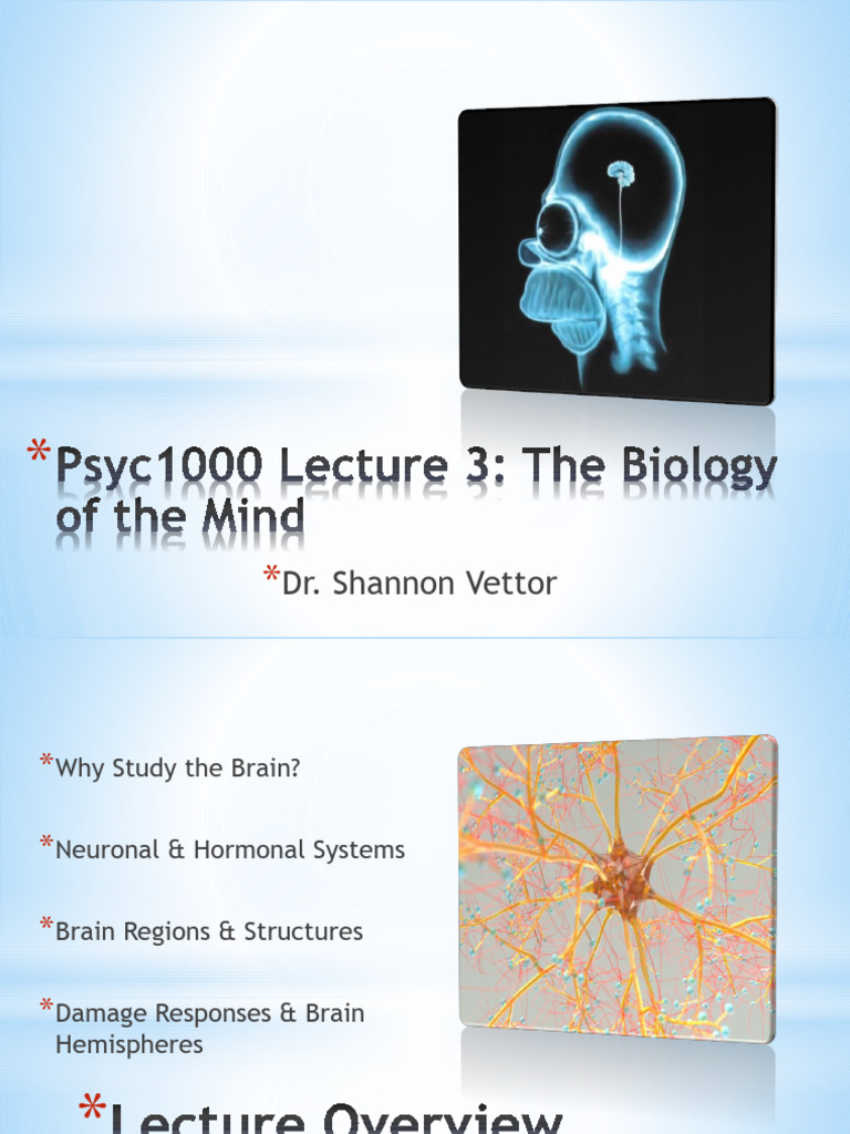 Psyc1000 Fall 2024 Lecture 3 The Biology of The Mind Student | PDF