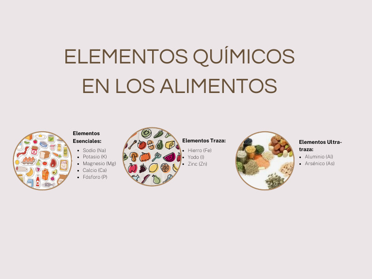 grafico linea del tiempo academico beis | PDF