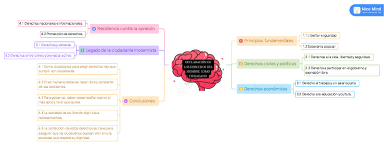 Nice Mind features | PDF
