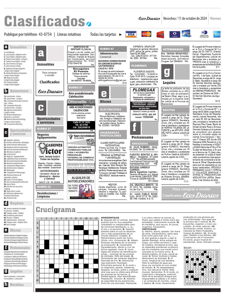 Clasificados 11 | PDF