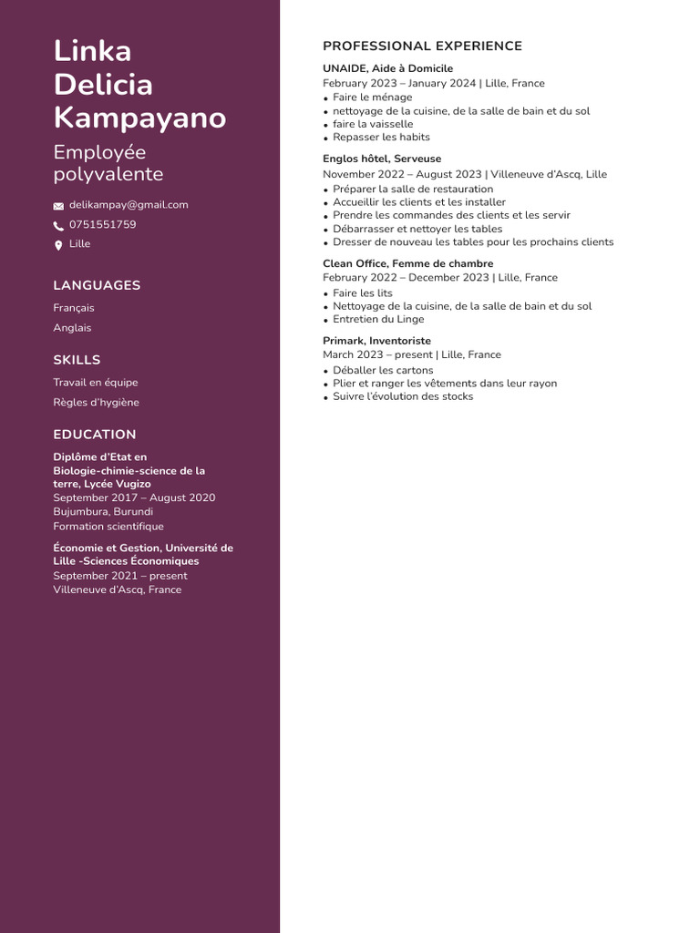 Linka Delicia Kampayano FlowCV Resume 20240227 | PDF