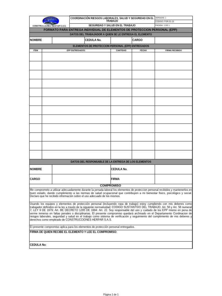 For 01 15 Formato para Entrega Individual de Elementos de Proteccion Personal Epp | PDF