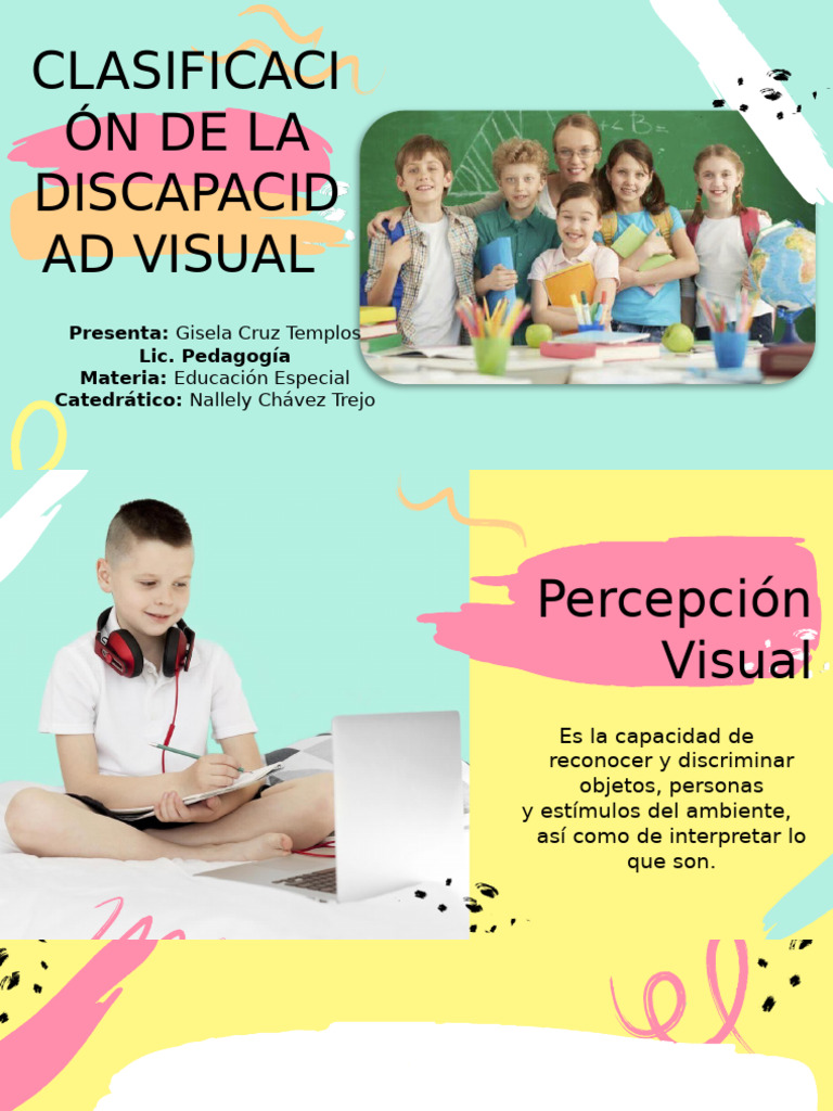 Discapacidad Visual | PDF