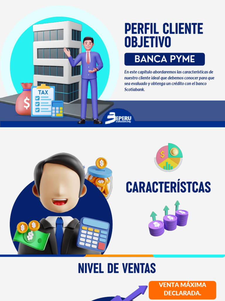2.- PERFIL CLIENTE PYME 2024 | PDF