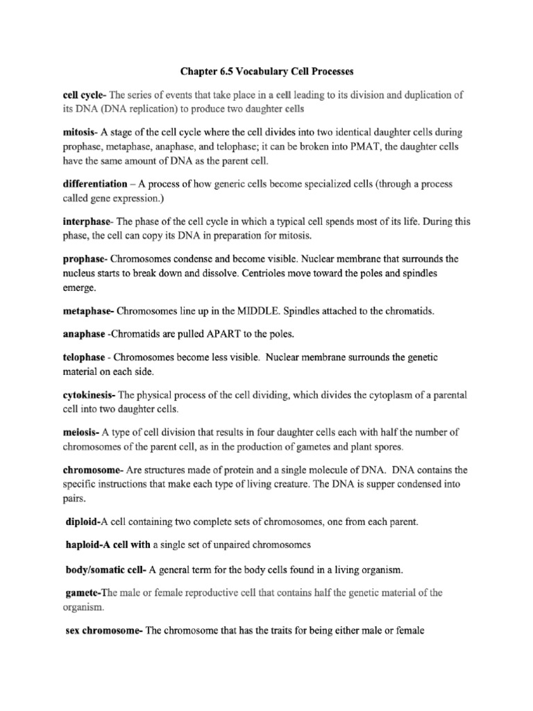 Chapter 6.5 Vocabulary Cell Processes Cell Cycle | PDF
