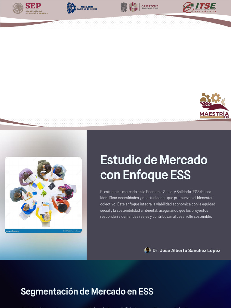 Tema 2. Estudio de Mercado Con Un Enfoque de ESS | PDF
