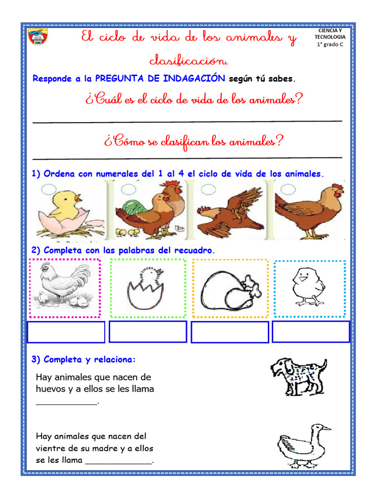 FICHA DE CIENCIA ciclo de vida | PDF