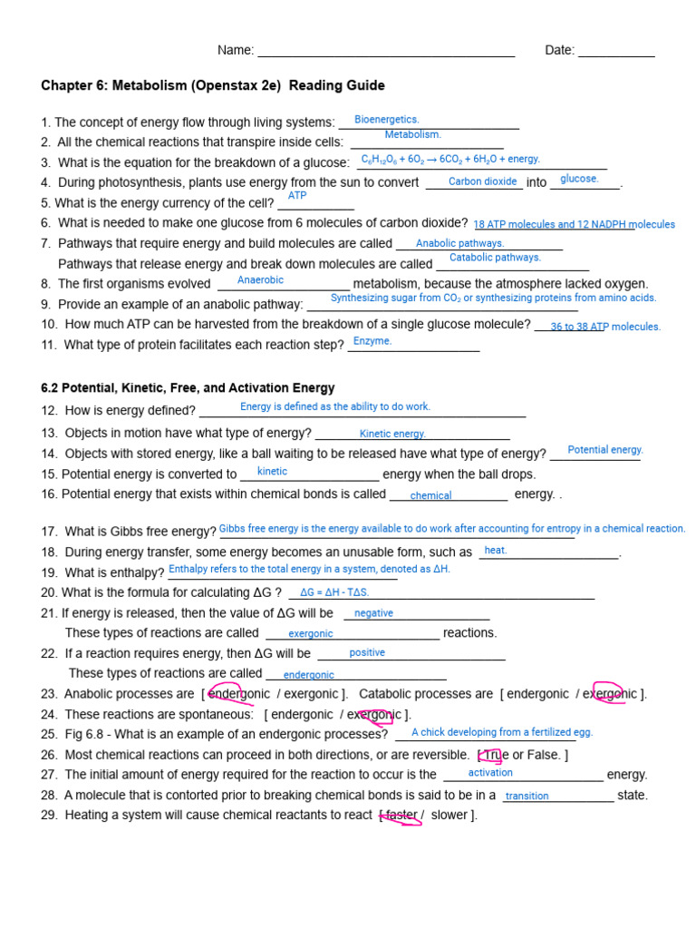Kami Export - Reading Guide - Unit 3 Metabolism | PDF