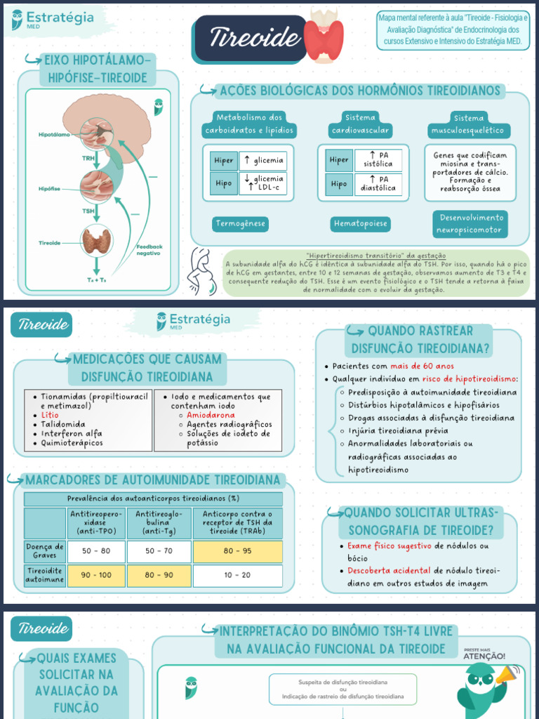 Material Material Da Aula Endocrinologia Extensivo Tireoide Fisio Mapa Mental | PDF