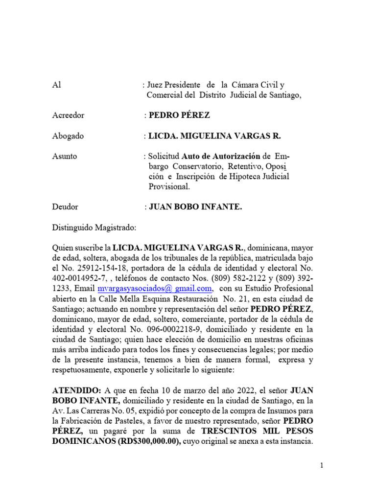 Solicitud de Embargo Conservatorio | PDF | Pagos