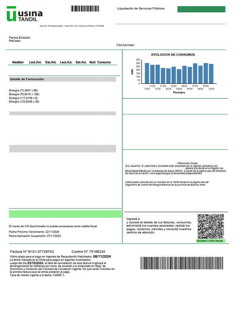 Factura 202410 | PDF
