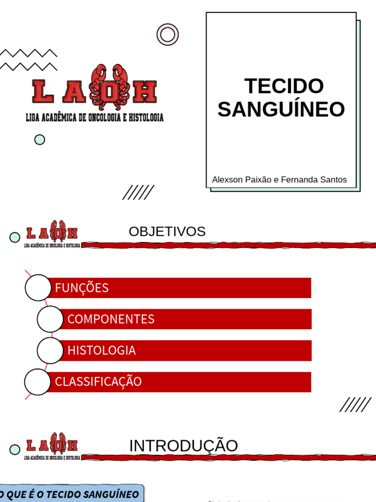 Laoh Tecido Sanguíneo | PDF