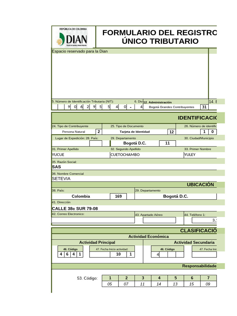 Formulario Del Registro Único Tributario: Espacio Reservado para La Dian | PDF