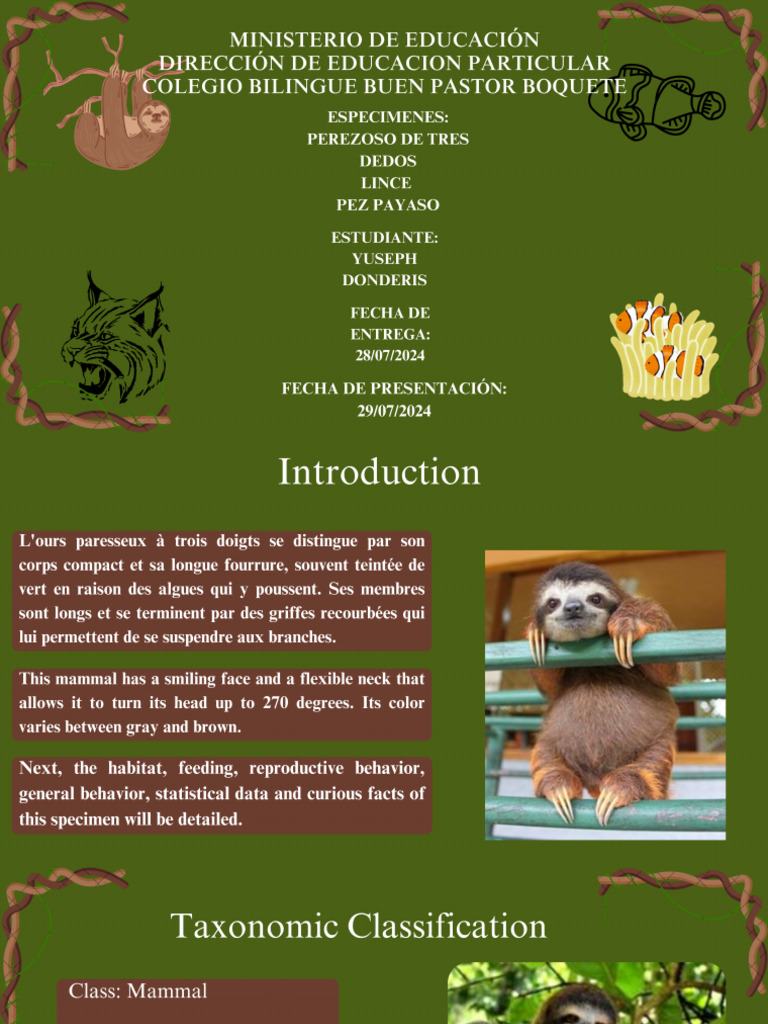 Presentacion Ingles | PDF