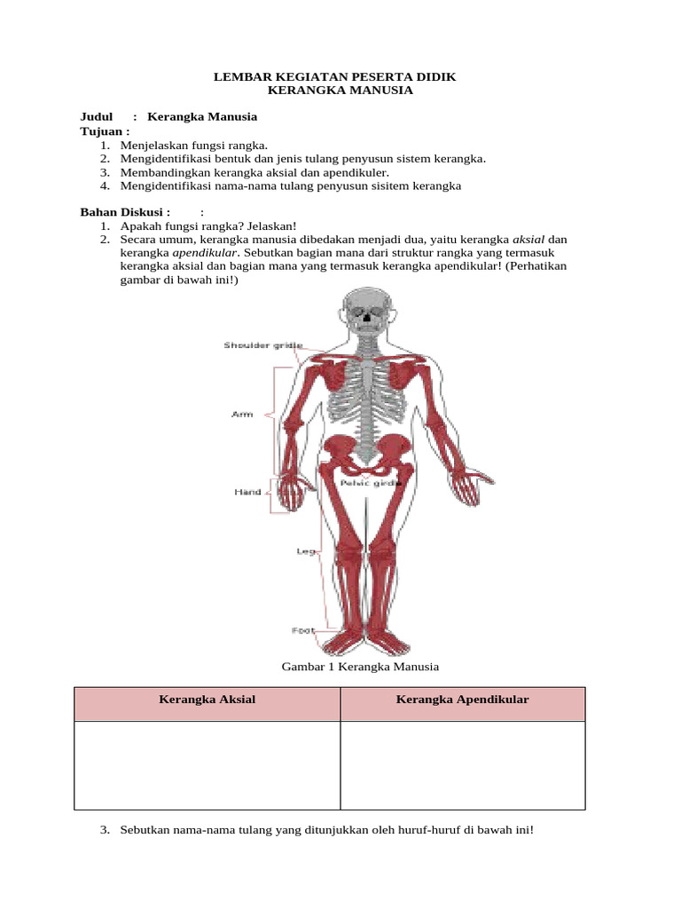 LKPD Sistem Gerak | PDF