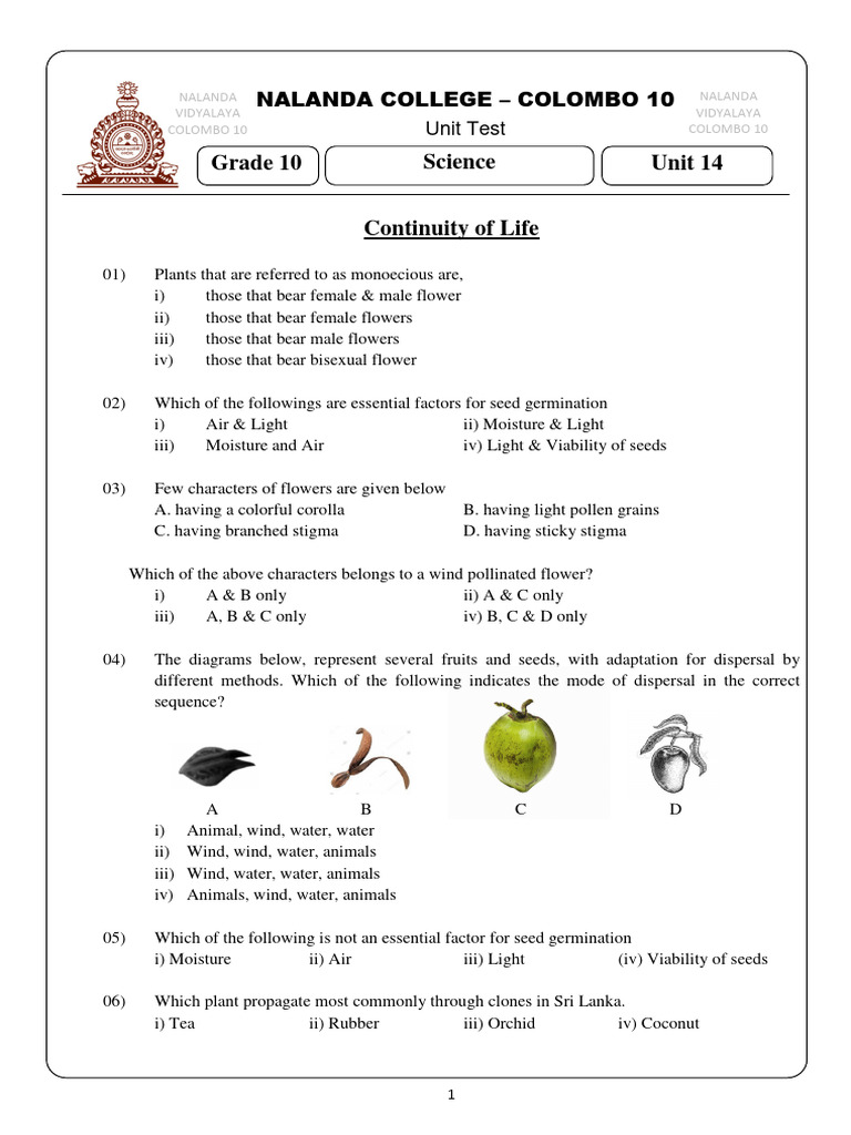 Grade 10 Science: Unit 14 Overview | PDF | Flowers | Social Science