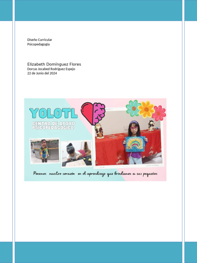 Diseño Curricular Profe Elizabeth Trabajo Final | PDF