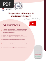 Endophytic vs Exophytic Tumors Explained | PDF