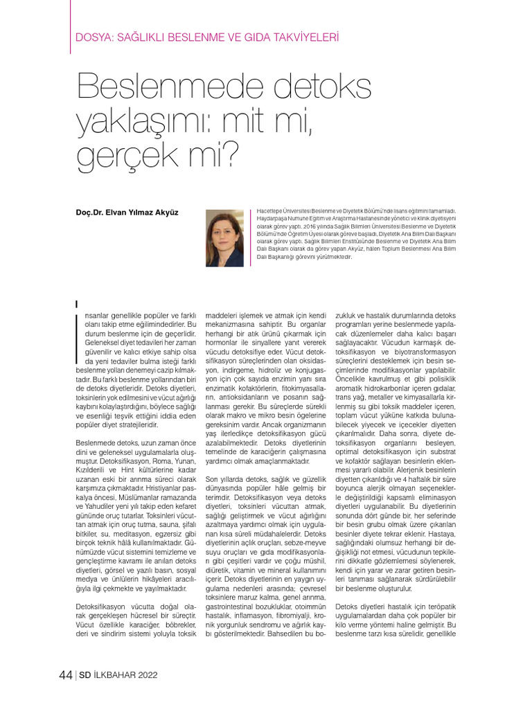 SD Dergi Sayi62-46-47.sayfalar Elvan Yilmaz Akyuz | PDF