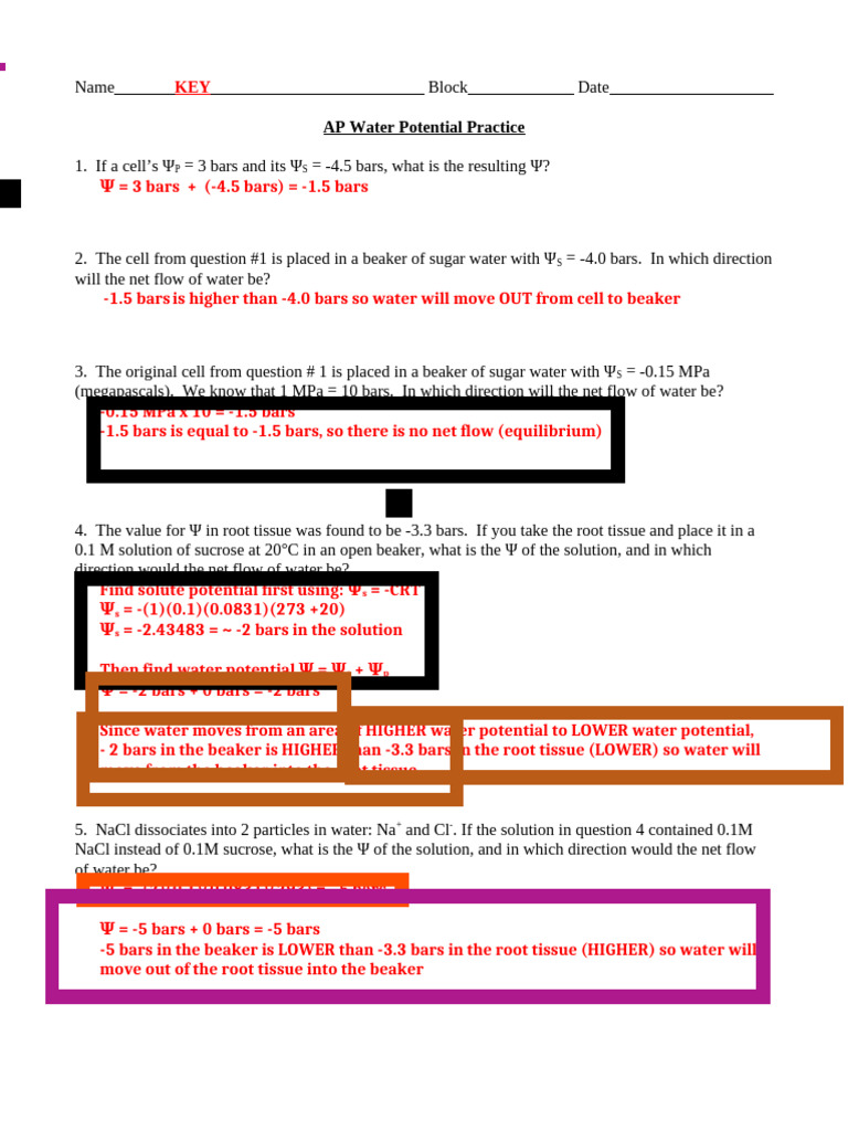 Water Potential Questions | PDF
