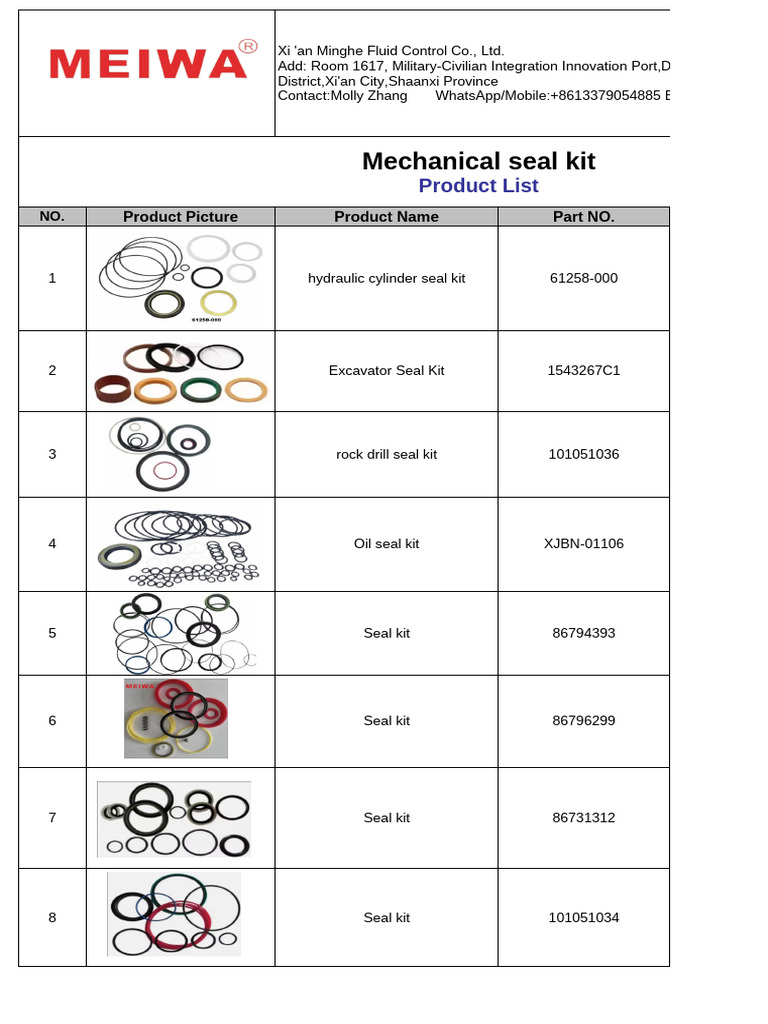 Repair Seal Kit With Picture | PDF