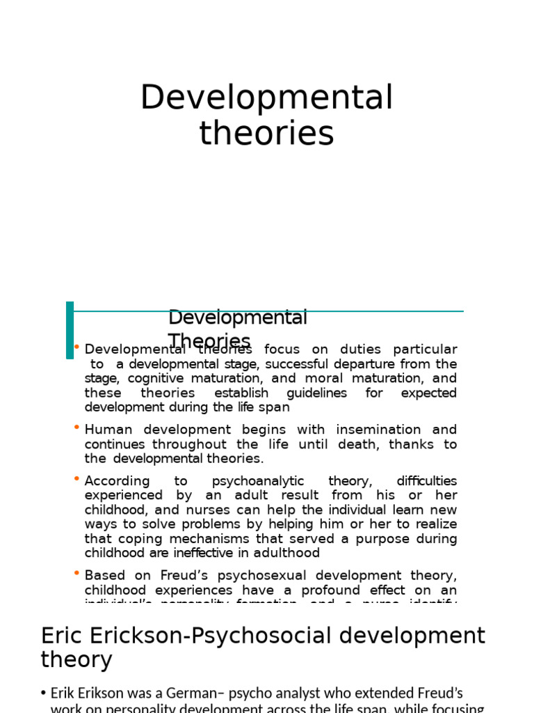 Developmental Theories | PDF