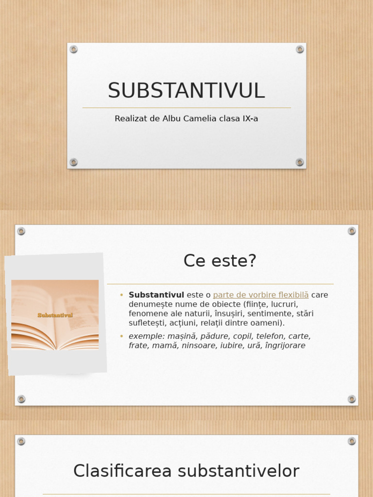SUBSTANTIVUL | PDF