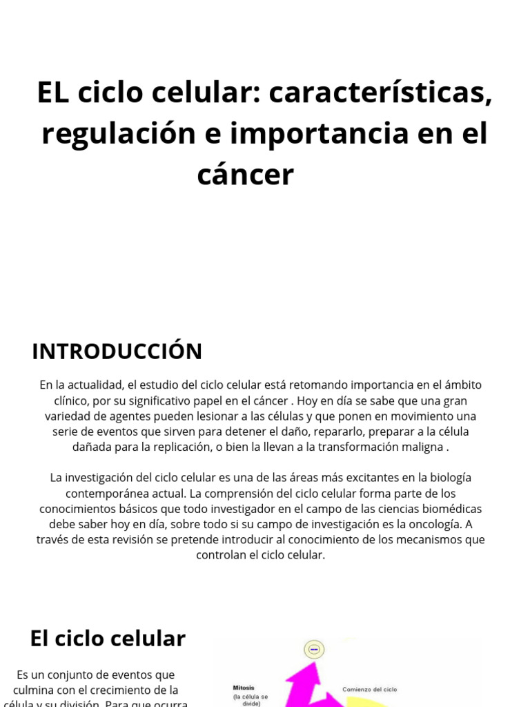 EL Ciclo Celular | PDF