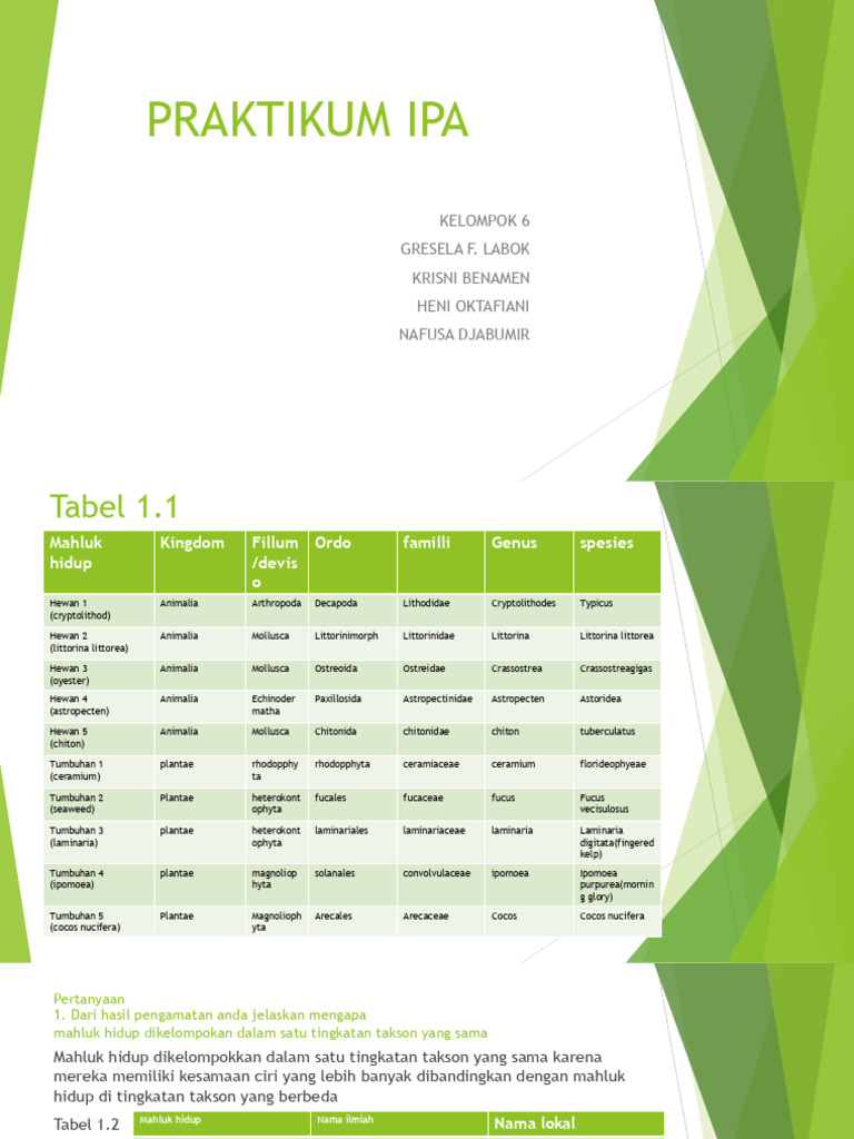Kelompok 6 IPA | PDF