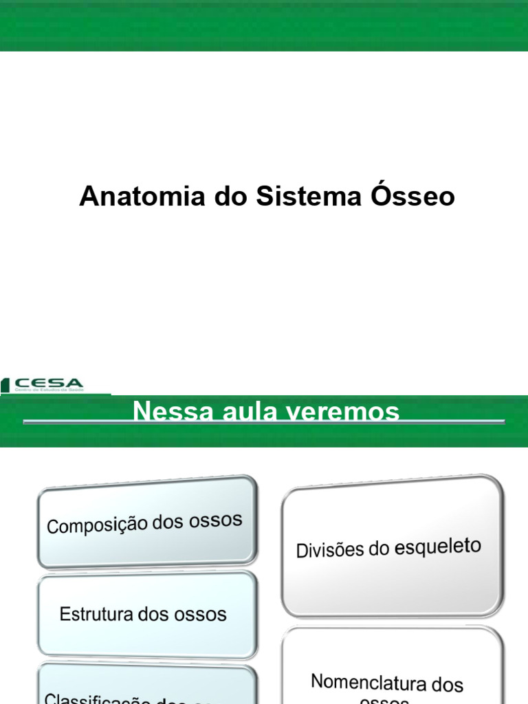 Aula Sistema Ósseo - (ITCG) | PDF