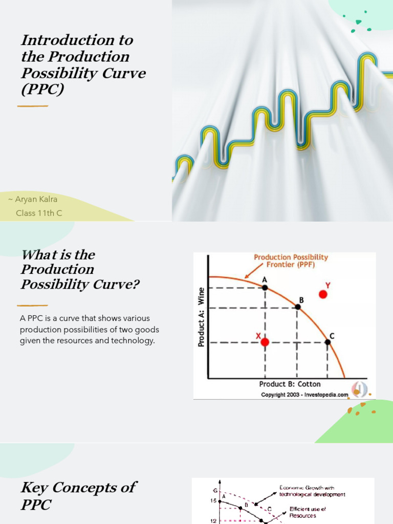 Aryan Kalra 11th C (Eco) | PDF