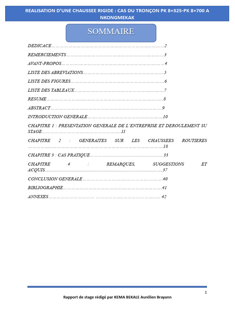 PDF Du Rapport | PDF