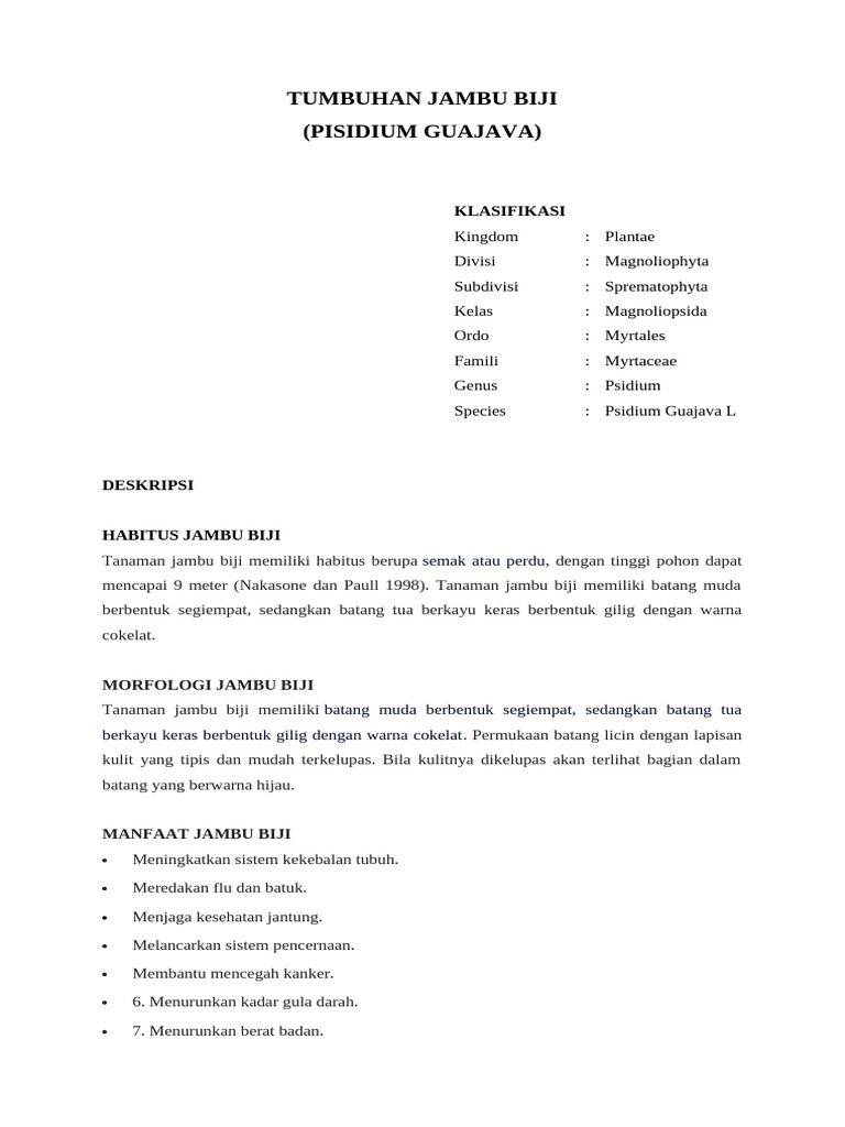 Tumbuhan Jambu Biji | PDF