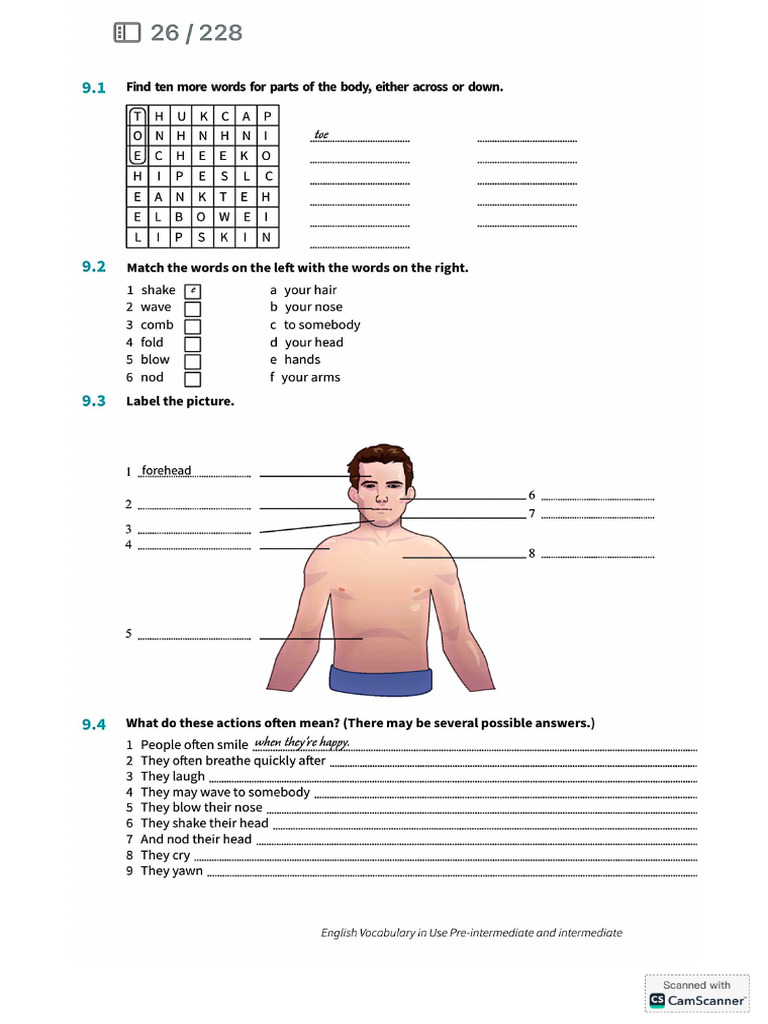 Body Parts Vocab | PDF