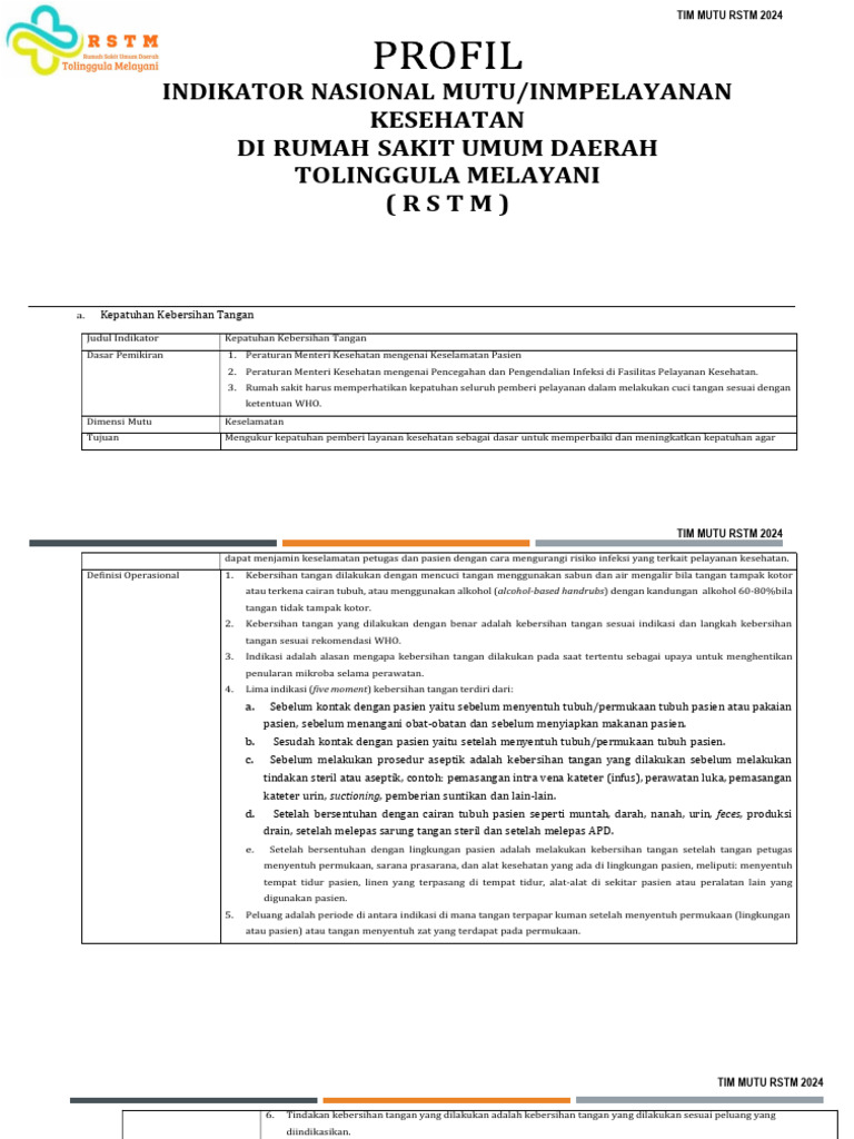 PROFIL INM RSTM 2024_ | PDF