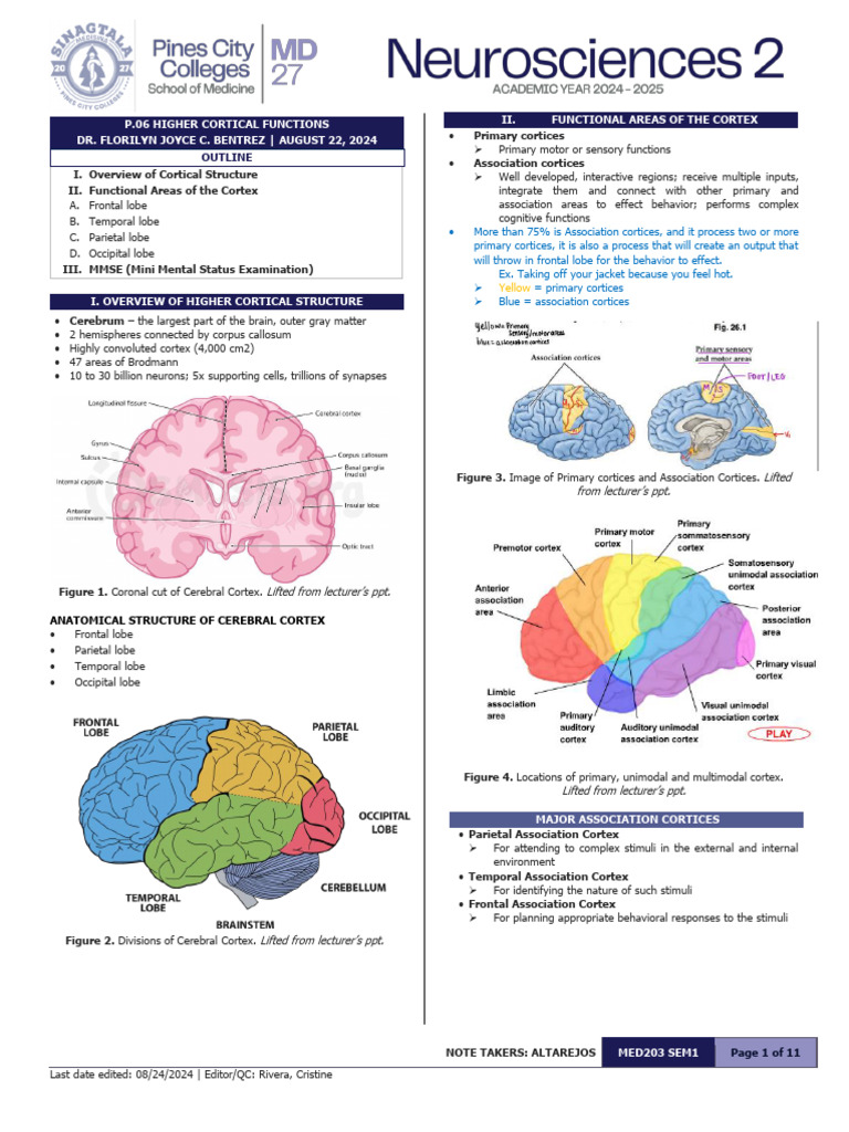 [Neuro] p.06 Higher Cortical Functions | PDF