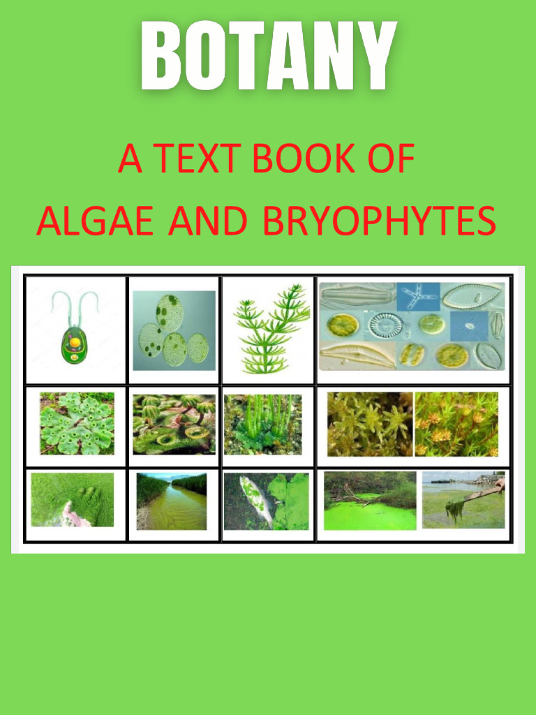 A Text Book of Algae and Bryophytes by Kashif Khan | PDF