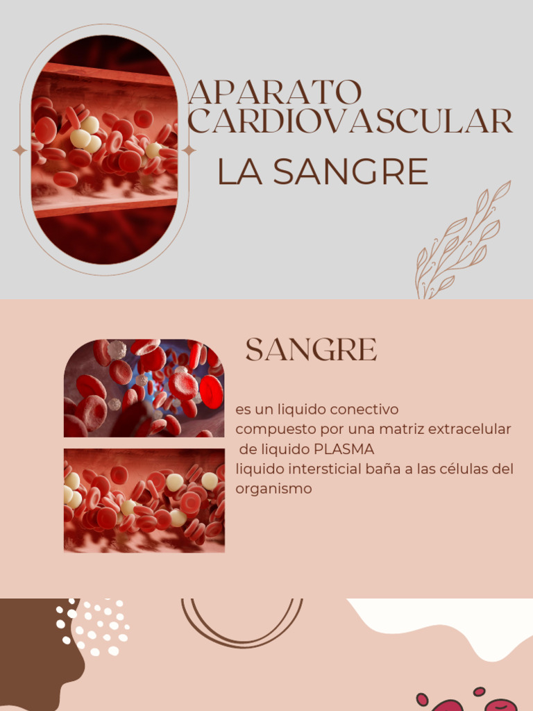 Cardiov Sangre | PDF