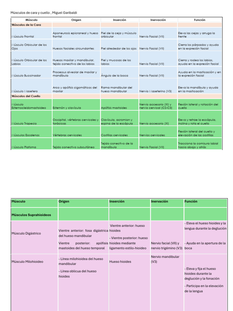 Musculos Cabeza Y Cuello Pdf