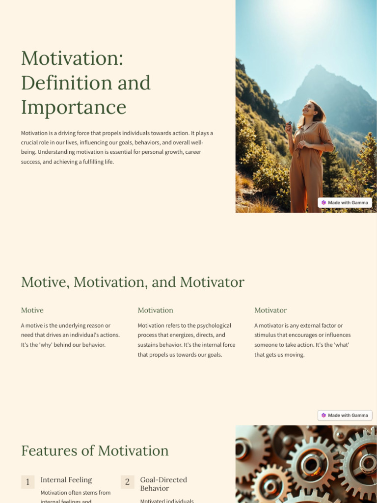 Motivation Definition and Importance | PDF