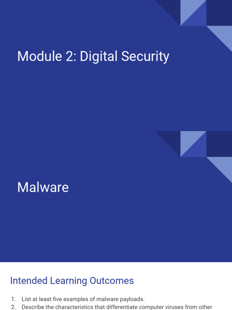 Module 2_ Digital Security | PDF