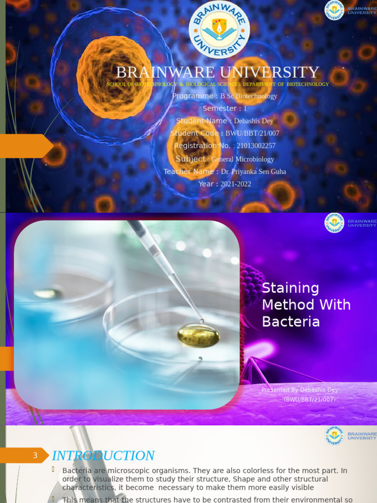 Bwu BBT 21 007 Staining Method of Bacteria | PDF