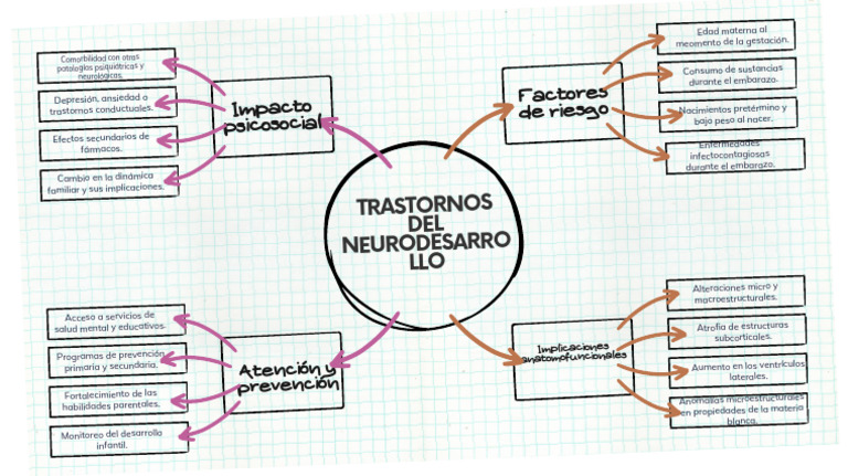 Mapa Neuro | PDF