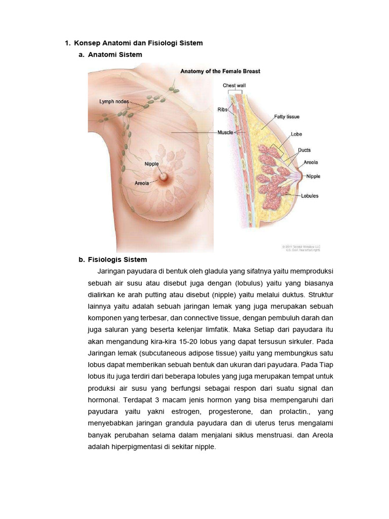 LP Dan LK Ca Mammae Lengkap | PDF